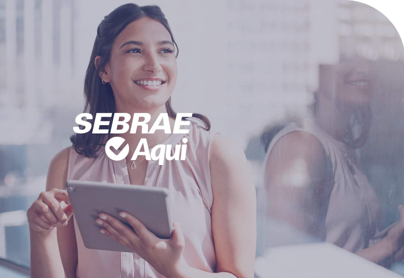 SEBRAE AQUI - SINBI